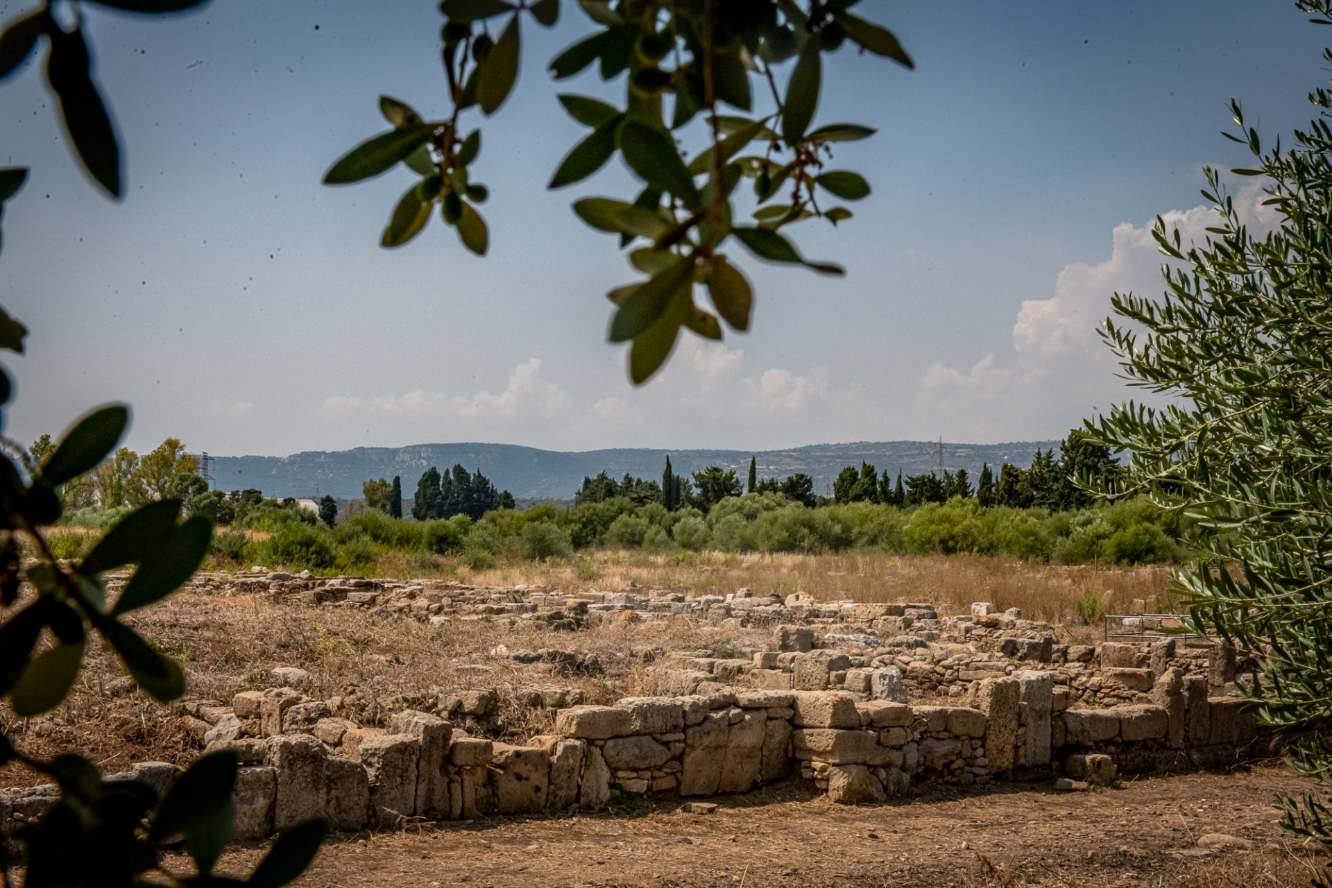 Aree Archeologiche in Sicilia: Megara Hyblaea - Siracusa - Sicilia ...